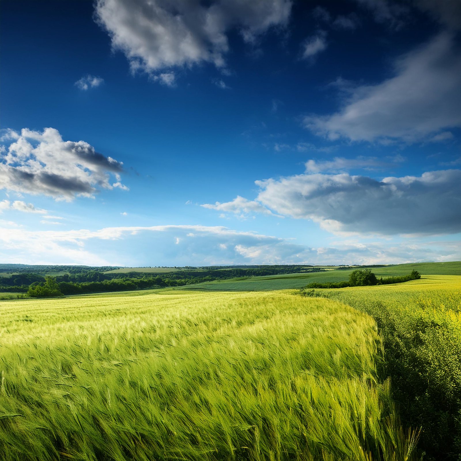 RINCÓN DE LA CALMA - Granada Costa